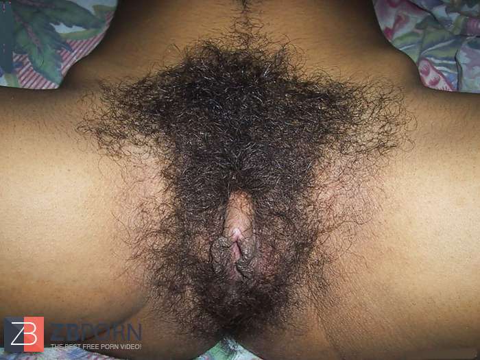 Wooly Aunty Zb Porn